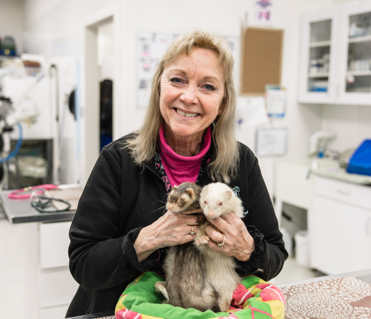 Now Welcoming New Clients | Chadwell Animal Hospital in Abingdon, MD
